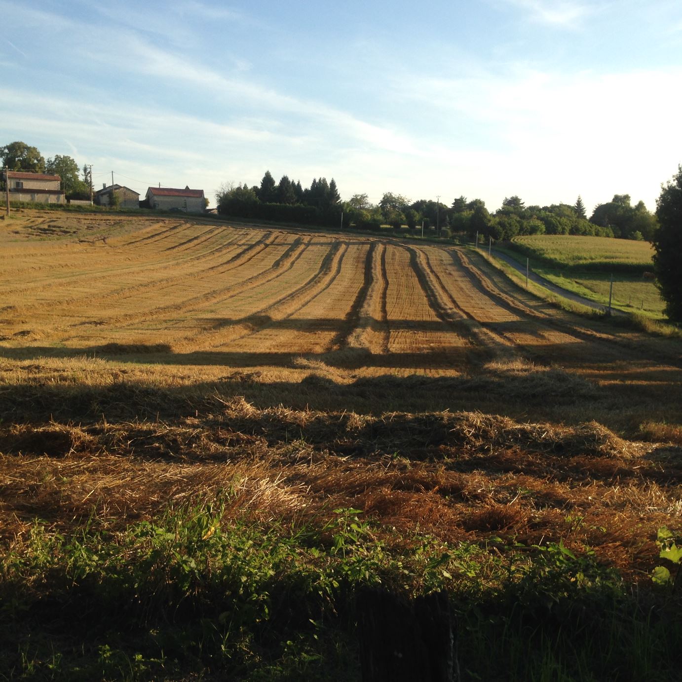 Neighbouring Fields view – Dordogne house to rent